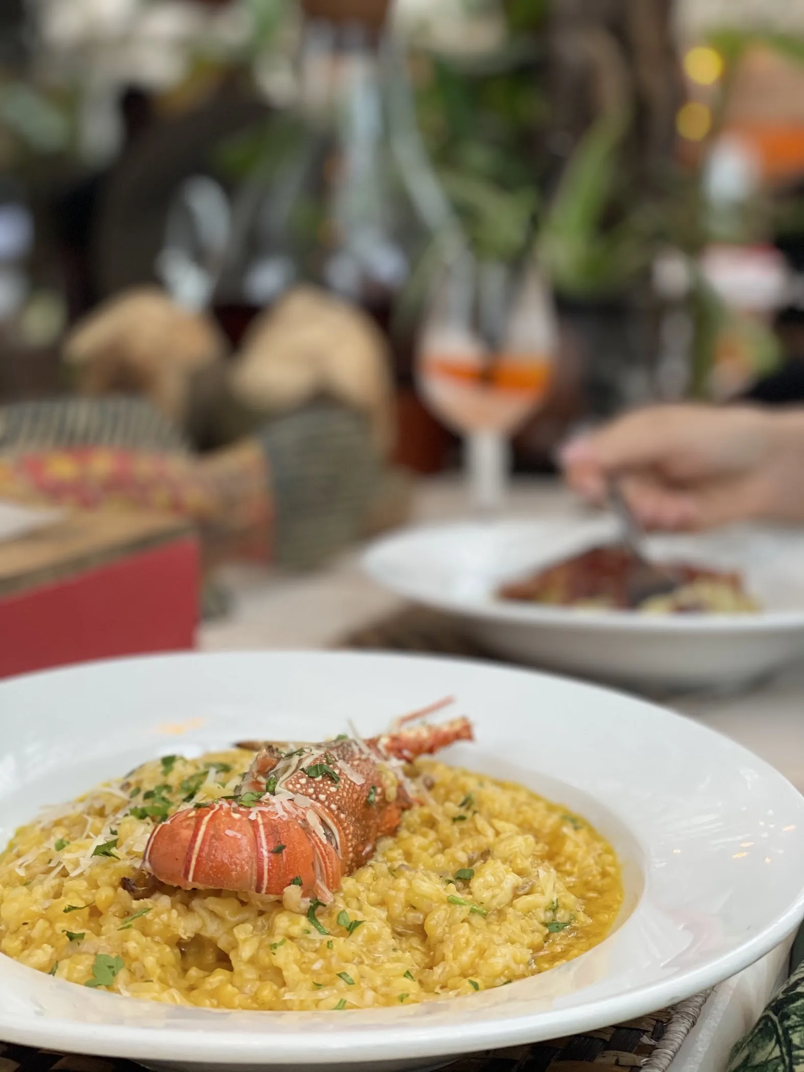 BELLA AFRIK Authentic Italian Restaurant & Wood Fire Pizza – TortoisePath