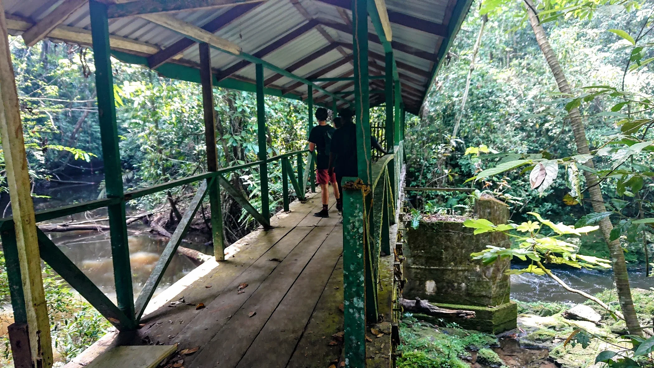 Ankasa Game Reserve & Nini-Suhien National Park – TortoisePath
