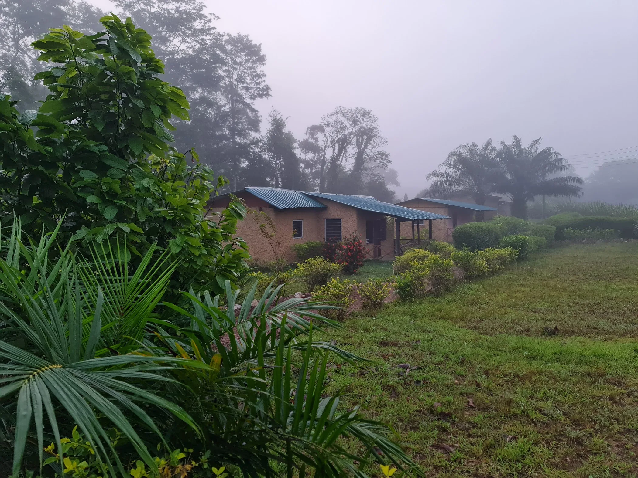 Ankasa Game Reserve & Nini-Suhien National Park – TortoisePath
