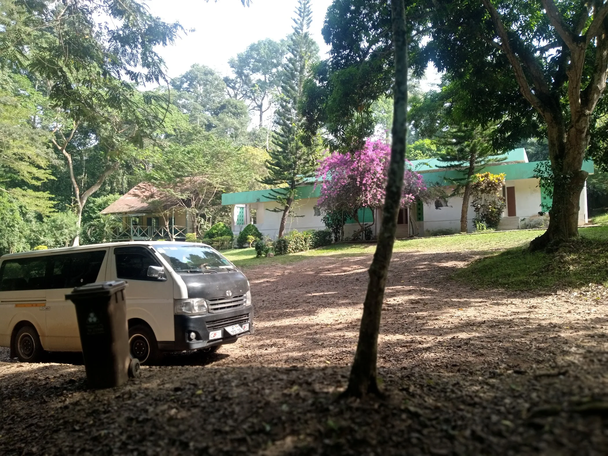 Bobiri Forest Reserve and Butterfly Sanctuary – TortoisePath