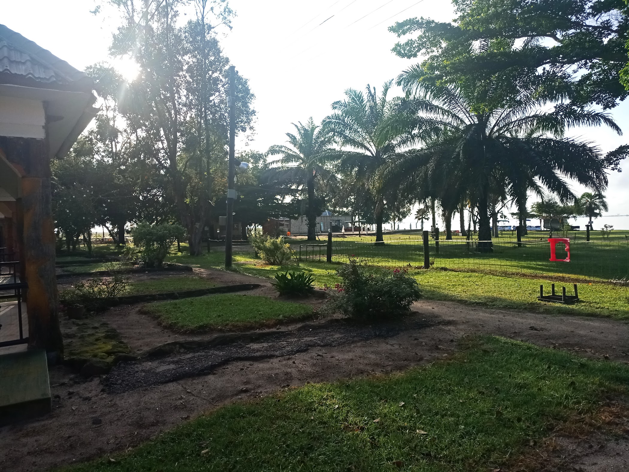 Nabugabo Sand Beach – TortoisePath | Uganda 🇺🇬