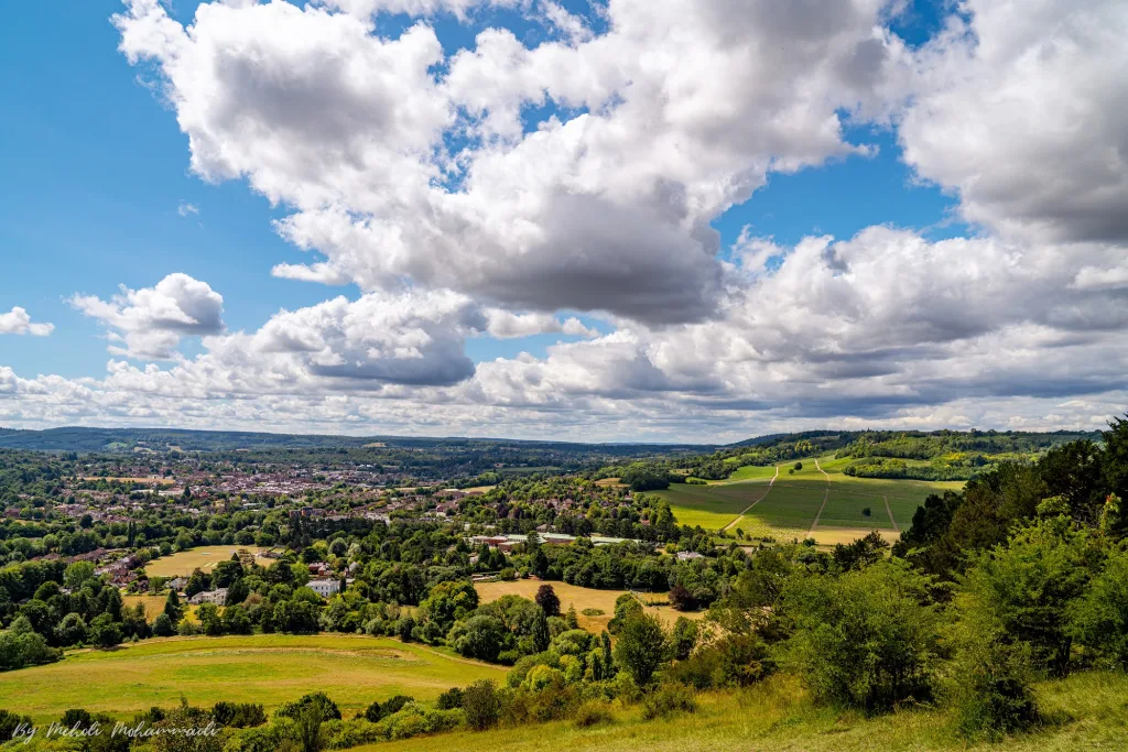 Box Hill | Surrey guide and local context – TortoisePath News